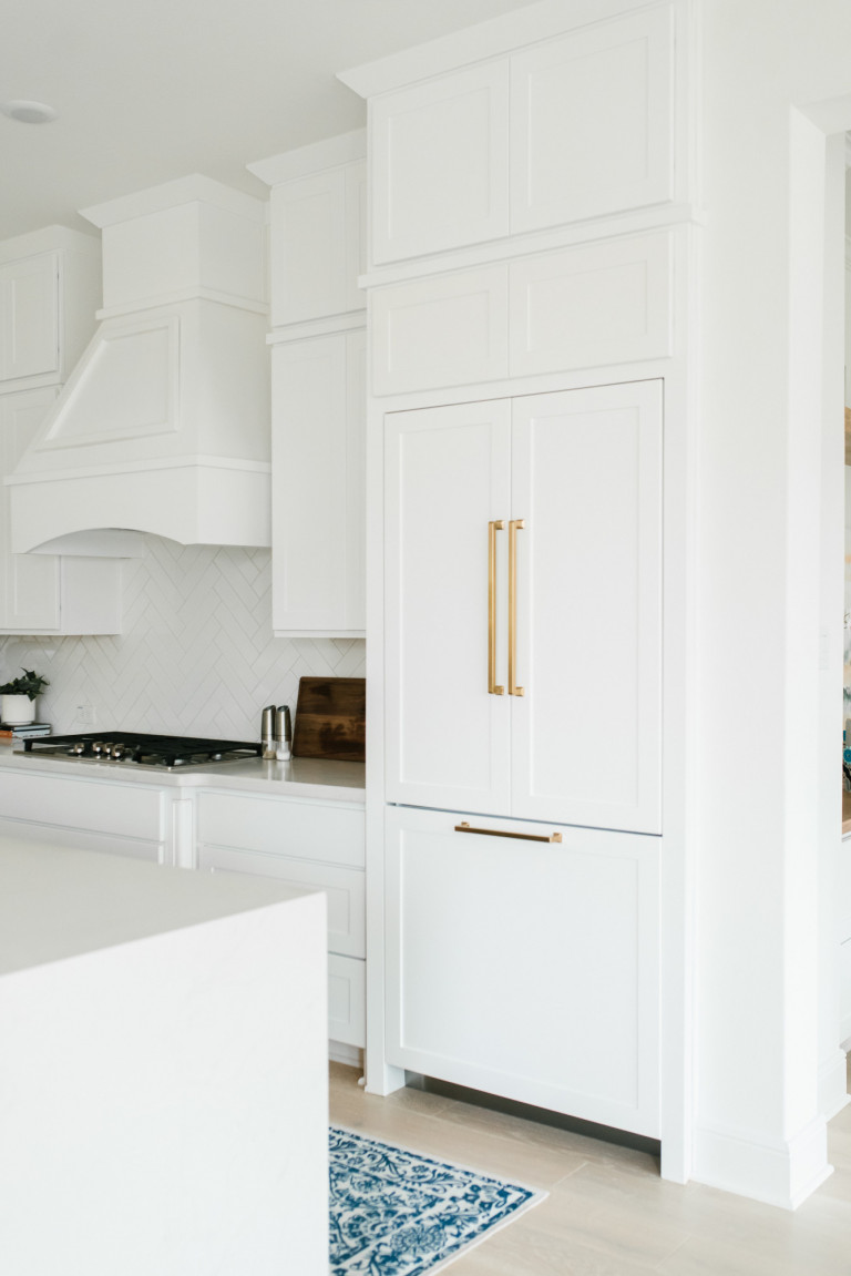 WHAT YOU NEED TO KNOW ABOUT GETTING A PANEL REFRIGERATOR - Annie Mescall